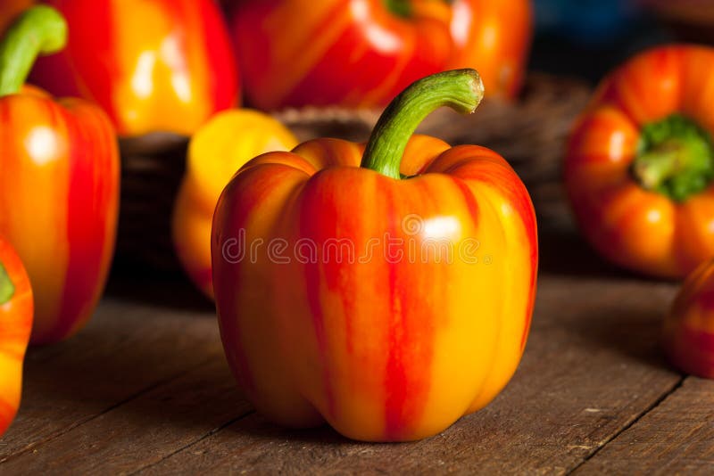 Raw Organic Striped Red Bell Pepper Stock Image - Image of healthy ...