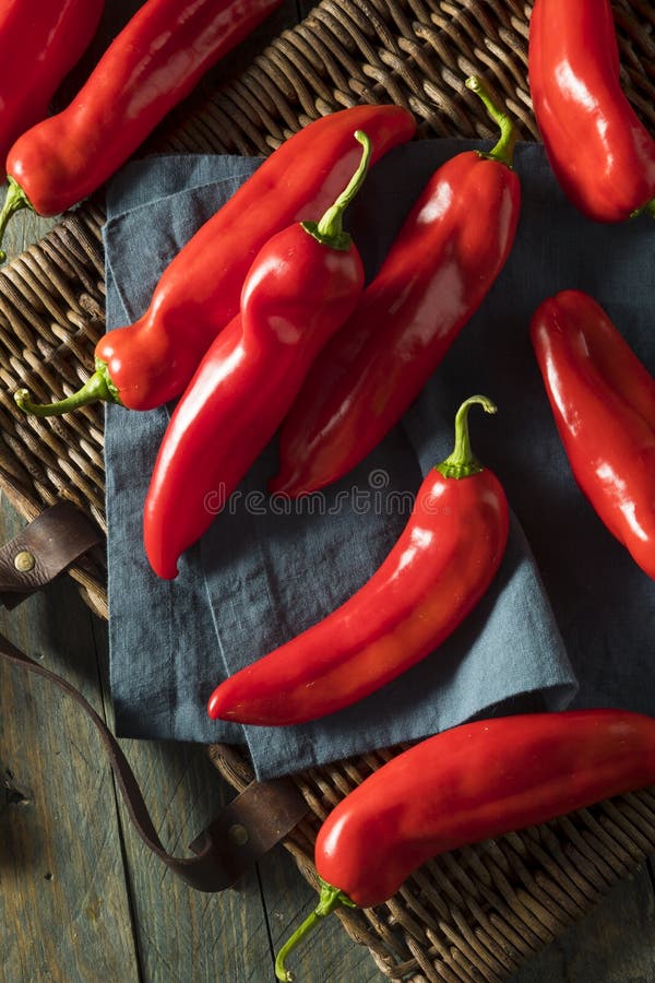 Raw Organic Sweet Red Ancient Peppers Stock Image - Image of spice ...
