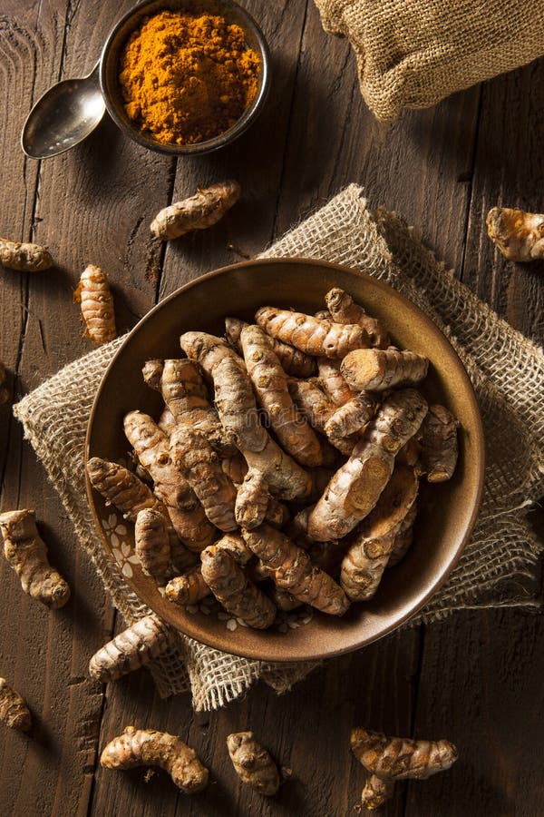 Raw Organic Turmeric Spice stock photo. Image of exotic - 49548042