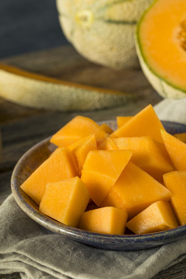 Raw Organic Tuscan Melon Cantaloupe Stock Image - Image of diet, orange ...