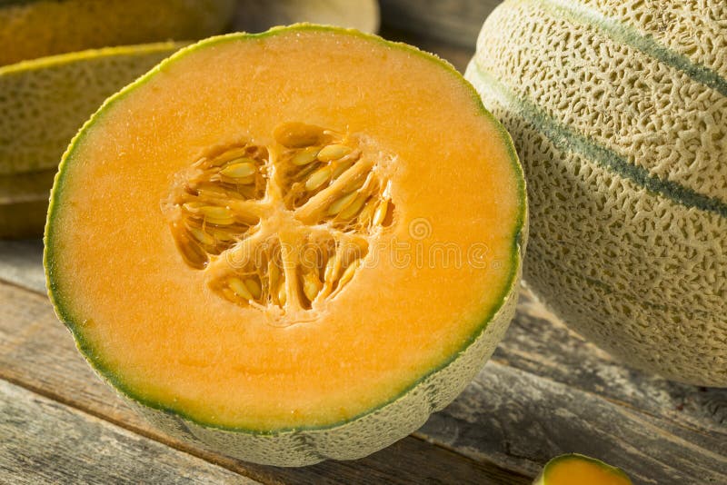 Raw Organic Tuscan Melon Cantaloupe Stock Image - Image of melon ...