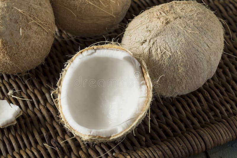 Raw Organic White Coconuts stock photo. Image of healthy - 97808752