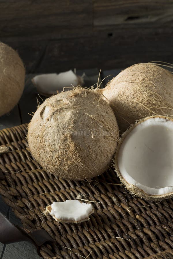 Raw Organic White Coconuts stock image. Image of drink - 97808845