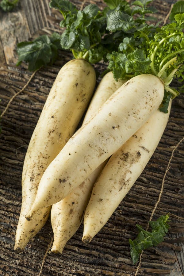 Raw Organic White Daikon stock image. Image of japanese - 90302623