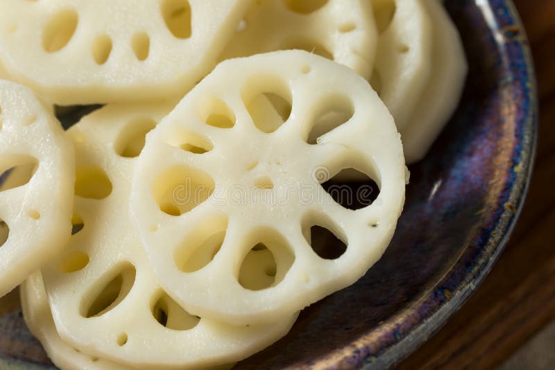 Raw Organic White Lotus Root Stock Photo - Image of health, root: 159476334