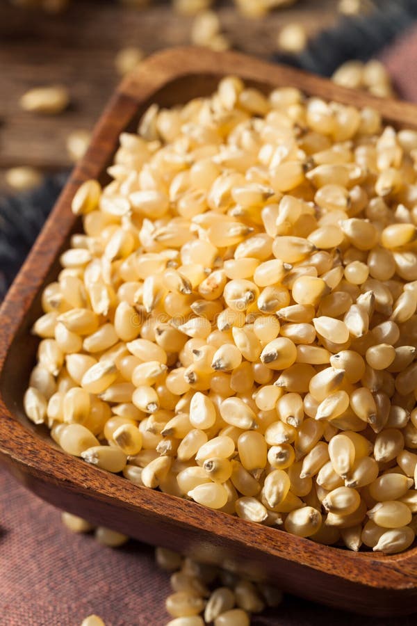 Raw Organic White Popcorn Kernals Stock Photo - Image of grain, corn ...