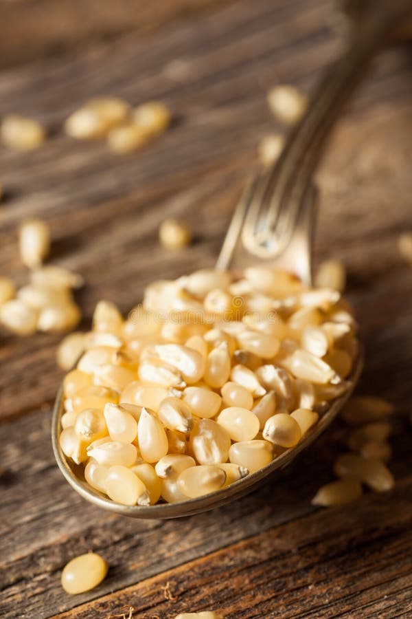 Raw Organic White Popcorn Kernals Stock Image - Image of healthy, heap ...