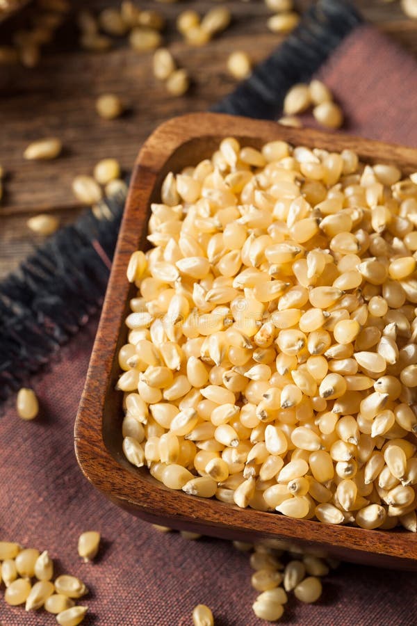 Raw Organic White Popcorn Kernals Stock Photo - Image of healthy ...