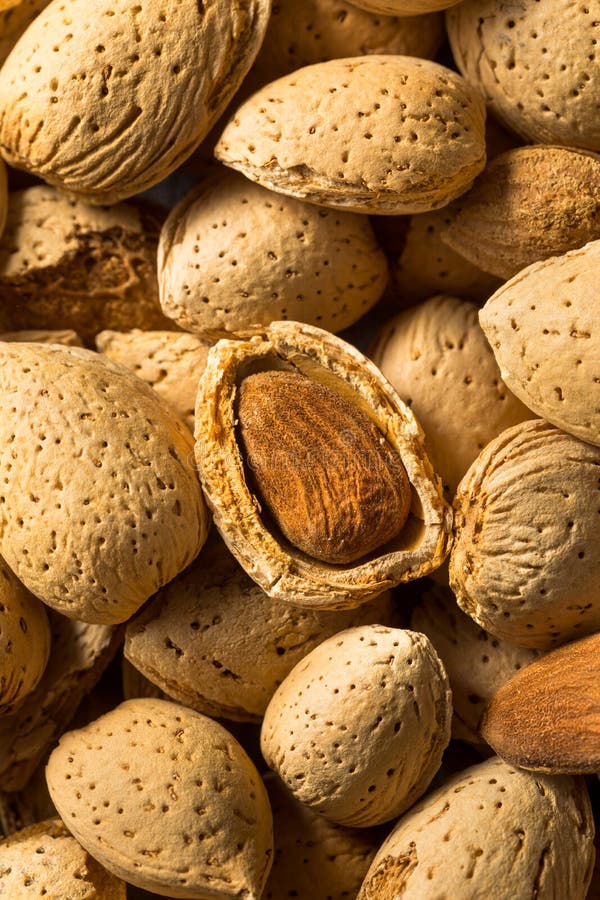Raw Organic Whole Almonds stock photo. Image of vegetarian - 215005946