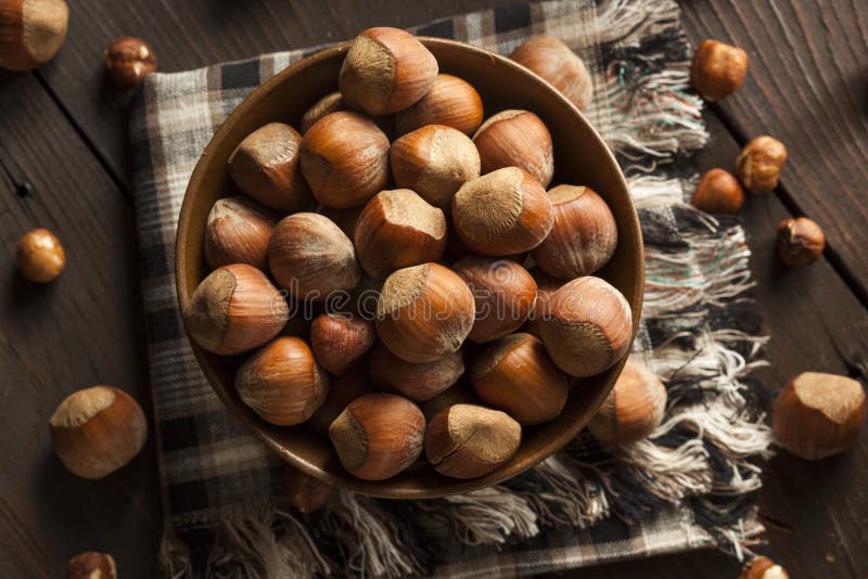 Raw Organic Whole Hazelnuts Stock Image - Image of ingredient, hazel ...