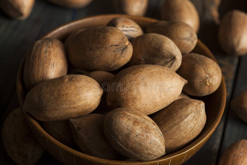 Raw Organic Whole Pecans stock photo. Image of antioxidant - 45182172