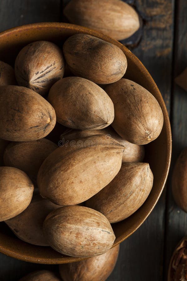 Raw Organic Whole Pecans stock image. Image of heap, ingredient - 45182193