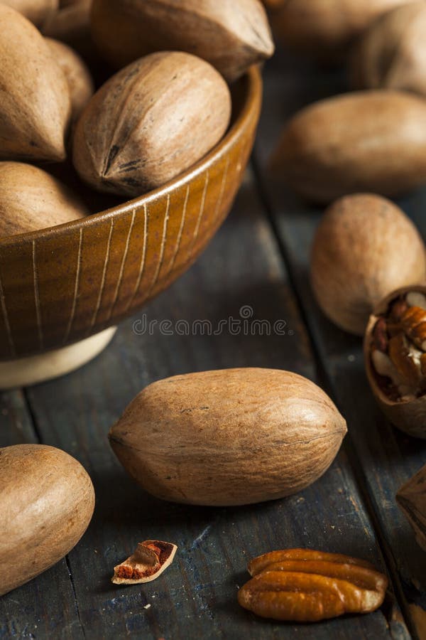 Raw Organic Whole Pecans stock photo. Image of shelled - 45182310