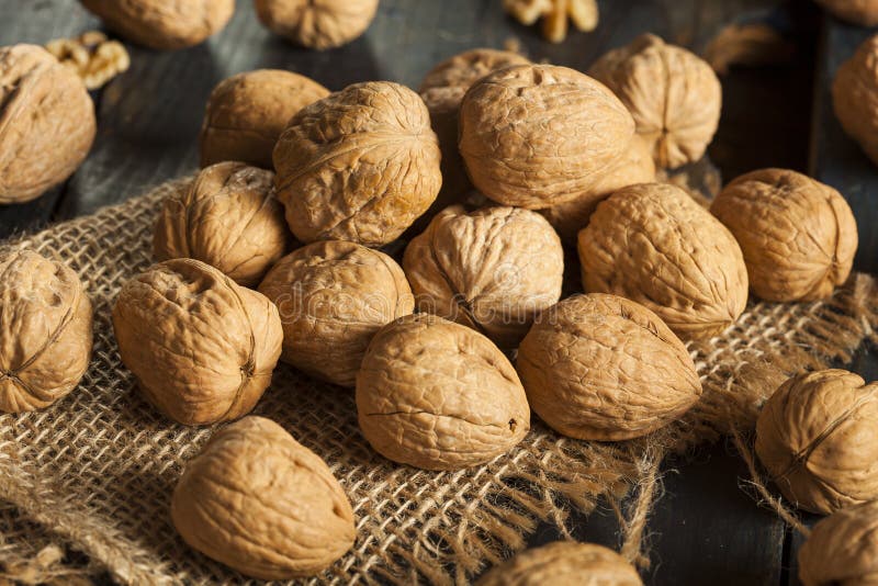Raw Organic Whole Walnuts stock image. Image of heap - 45182109
