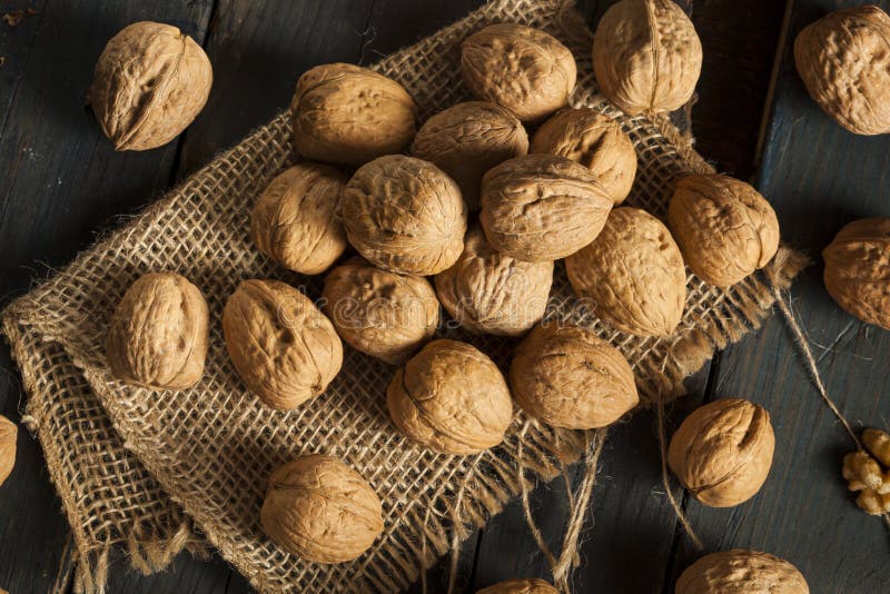 Raw Organic Whole Walnuts stock image. Image of seasonal - 45182125