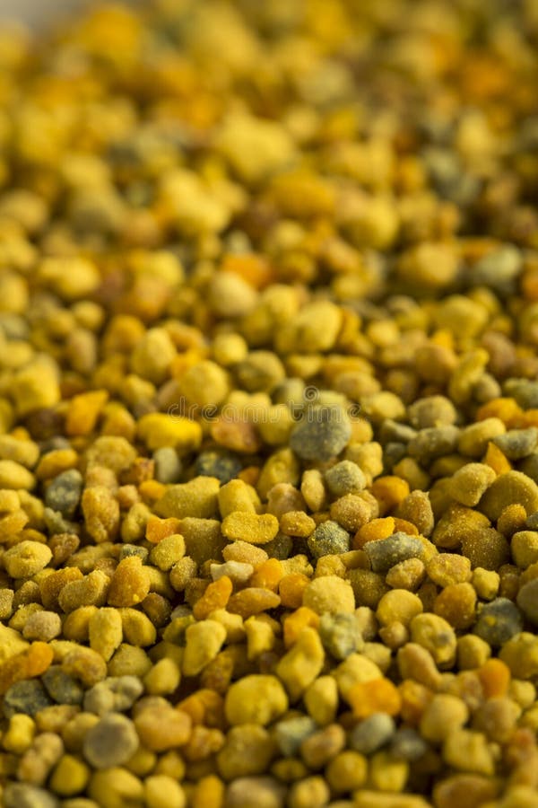 Raw Organic Yellow Bee Pollen Stock Photo - Image of nectar, lifestyle ...
