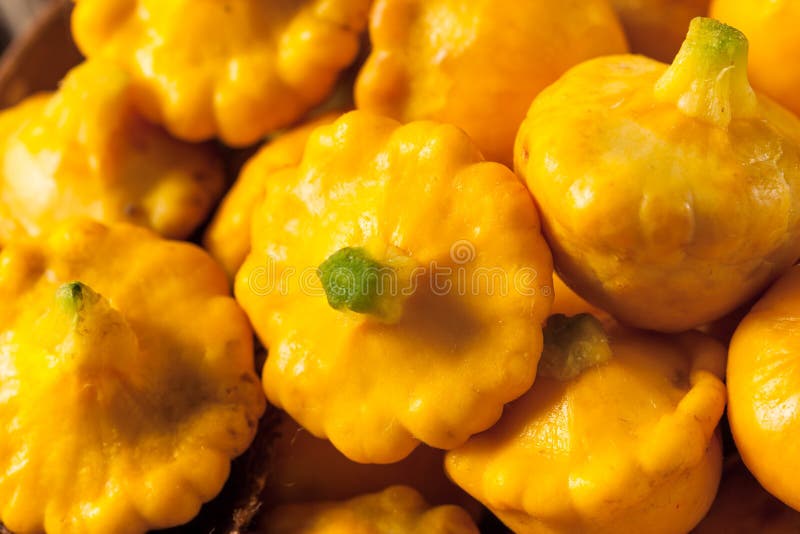 Raw Organic Yellow Pattypan Squash Stock Photo - Image of natural ...