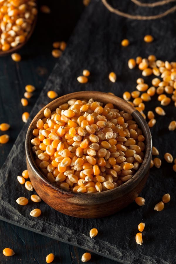 Raw Organic Yellow Popcorn stock photo. Image of sweet - 58583254