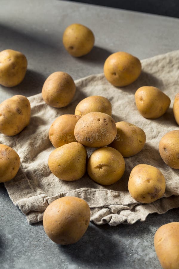 Raw Organic Yellow Potatoes Stock Photo - Image of potato, root: 216618514