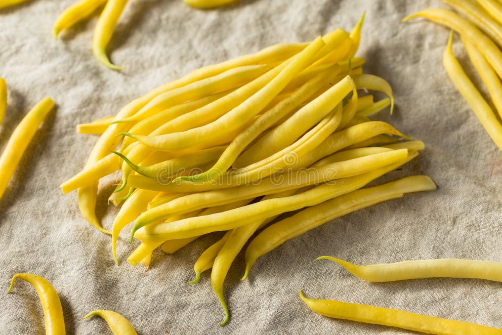 Raw Organic Yellow String Beans Stock Photo - Image of agriculture ...
