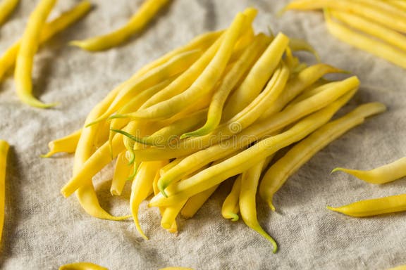 Raw Organic Yellow String Beans Stock Photo - Image of french ...