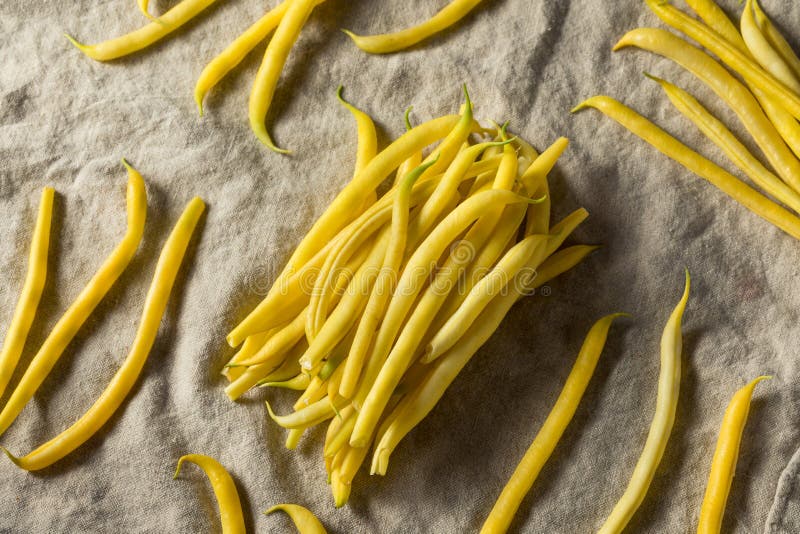 Raw Organic Yellow String Beans Stock Photo - Image of bean, long ...