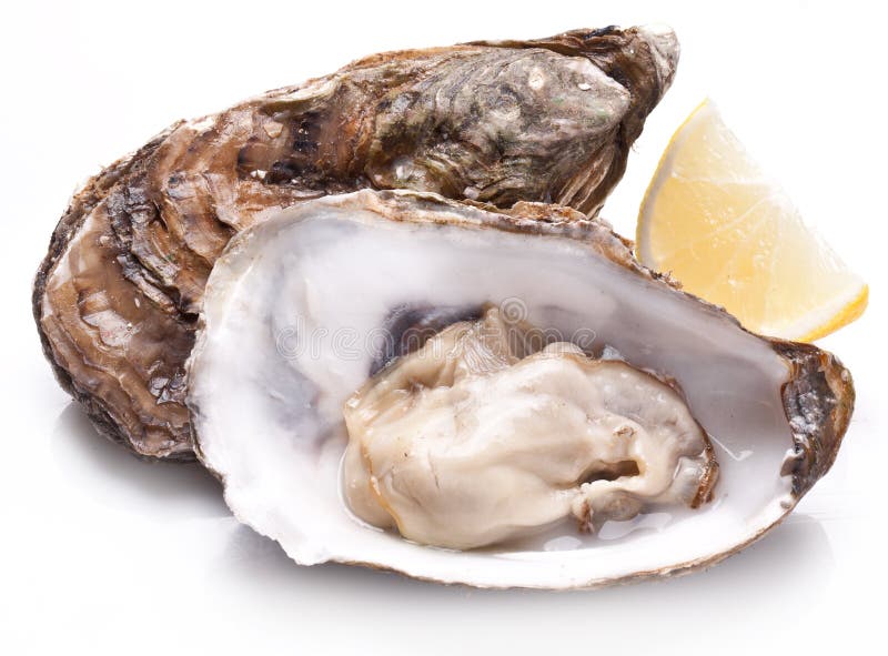 11,815 Isolated Oyster Stock Photos - Free & Royalty-Free Stock Photos ...