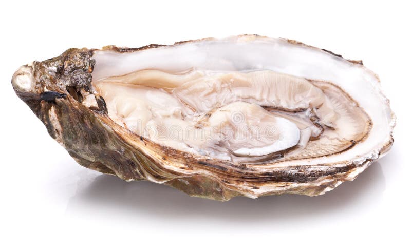 Oyster Shell Background Stock Photos - Download 10,873 Royalty Free Photos