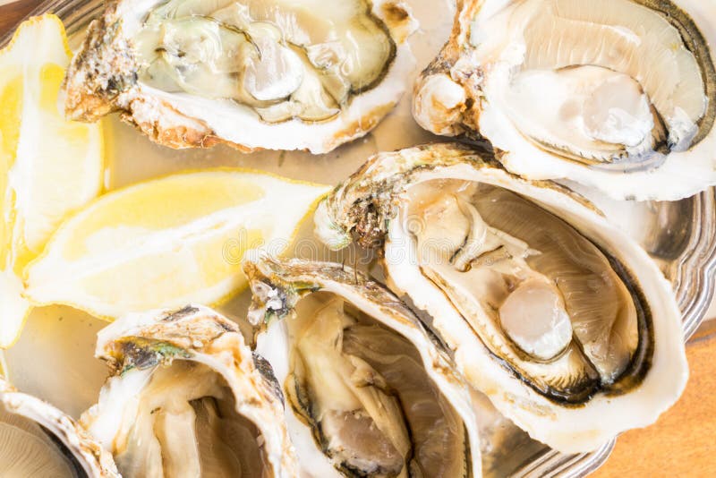 Raw oysters shells stock image. Image of platter, natural - 83748243