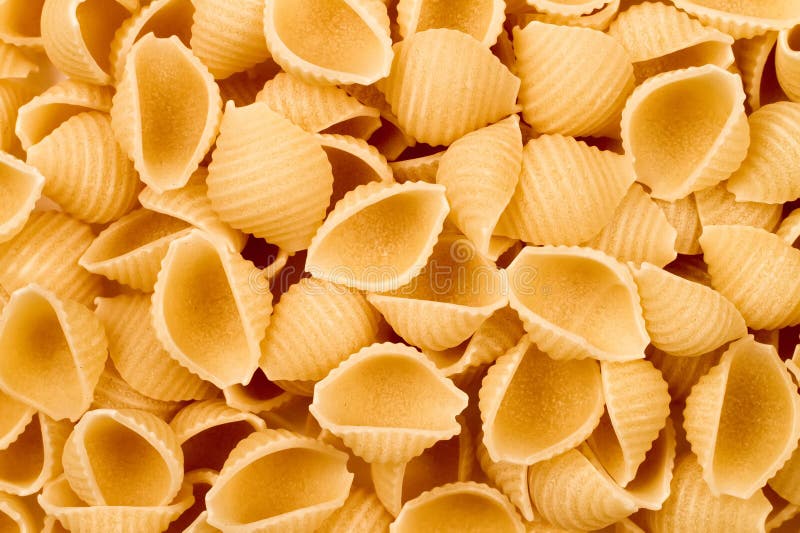 Raw Pasta in the Form of Shells. Stock Image - Image of healthy ...
