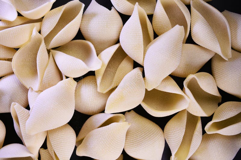 Large Shells on the Dock in Front of the Beach Stock Photo - Image of ...