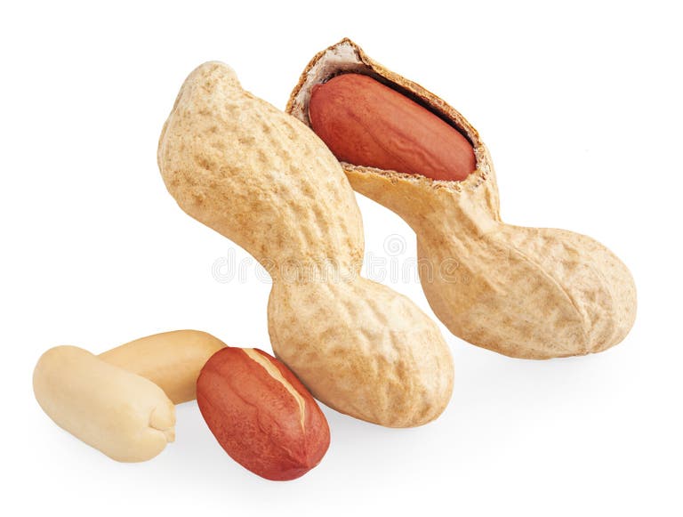 Raw Peanuts in Nutshell Isolated. Whole Pea Nuts and Peeled Kernels ...