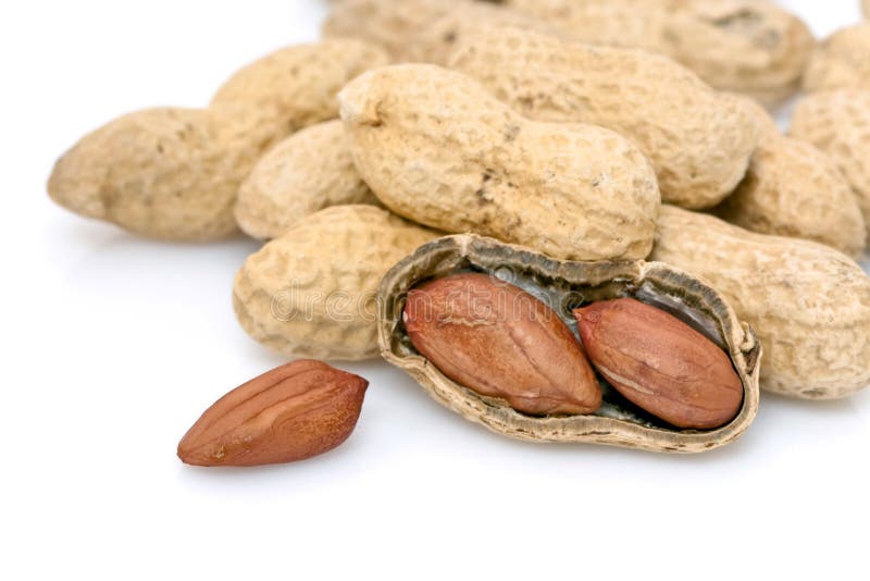 Three Peanuts stock image. Image of farmer, butter, brown - 1552571