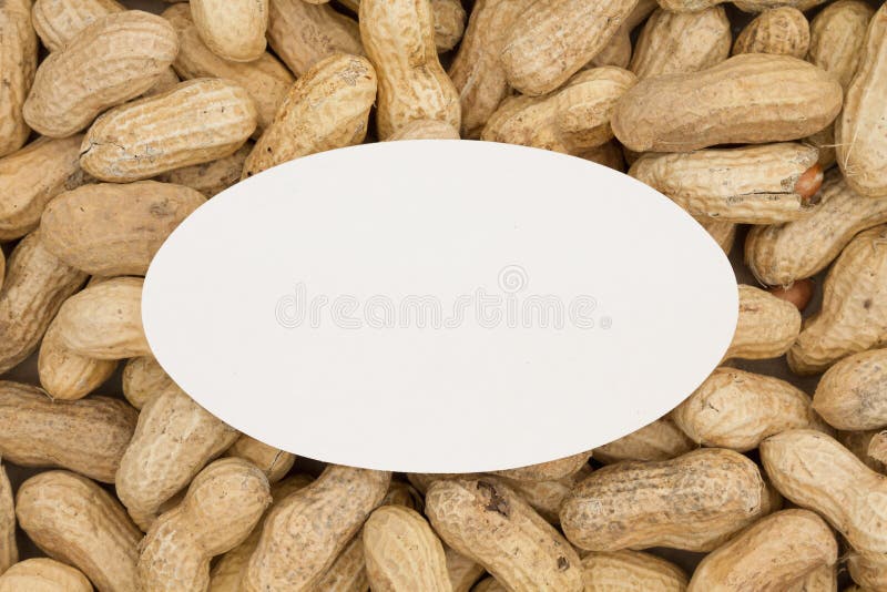Peanut Border stock image. Image of nutshell, healthy - 9503429