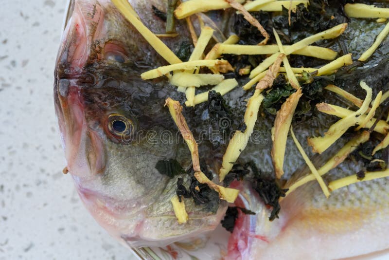 Raw Perch Fish on Dish and Ready To Be Steamed Close Up on the Head ...