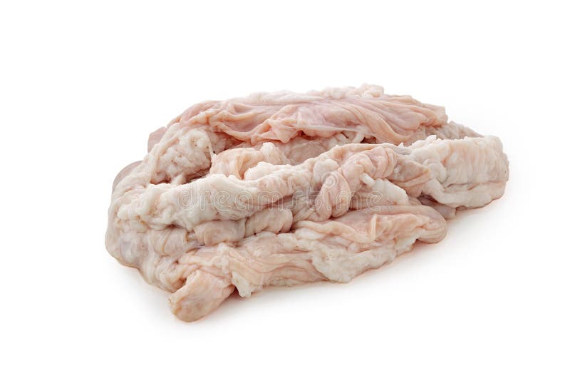 Raw Pig Intestine On White Background Stock Image - Image of butcher ...