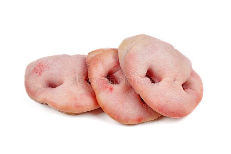 Raw Pig Snouts Isolated on White Stock Photo - Image of protein, food ...