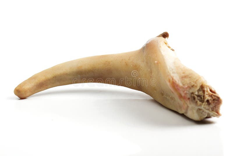 Raw pig tail stock image. Image of tail, side, cattle - 117513017