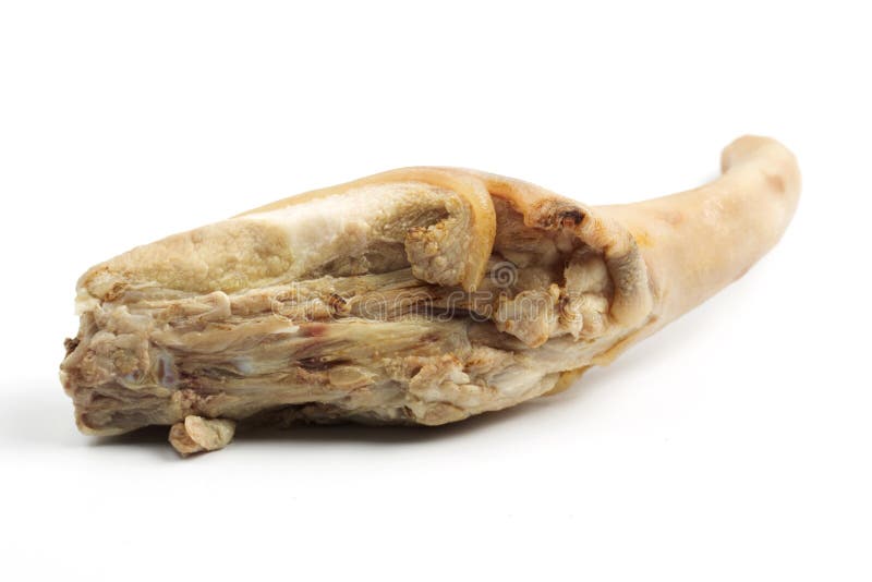 Raw pig tail stock image. Image of side, studio, pork - 113160923