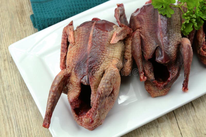 Raw pigeon stock photo. Image of squab, tasty, small - 163259162