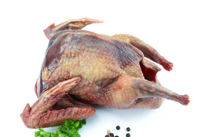 Raw pigeon stock image. Image of recipe, bird, meat - 163259535