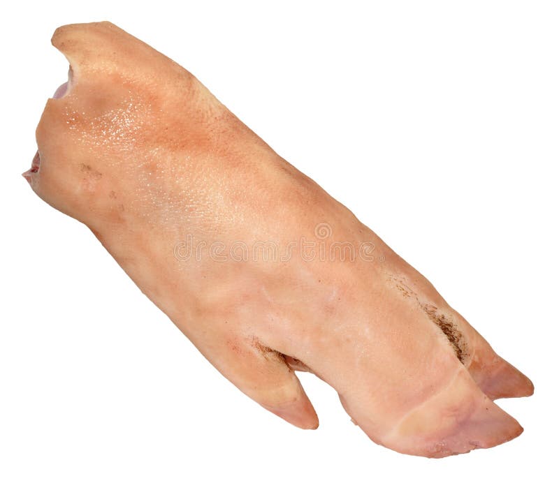 141 Raw Pig Trotter Stock Photos - Free & Royalty-Free Stock Photos ...