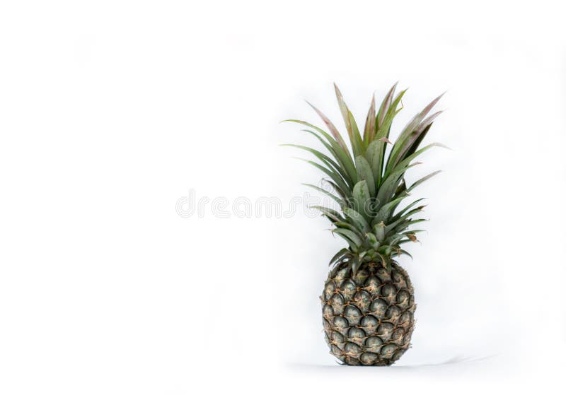 Raw pine apple with shadow stock image. Image of market - 271756075