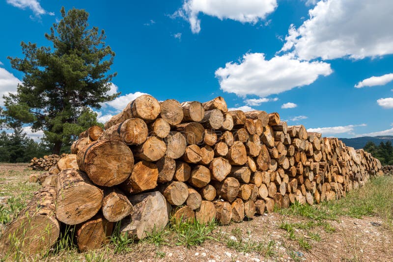Raw Pine Wood Logs Under Cloudy Sky Stock Photos - Free & Royalty-Free ...