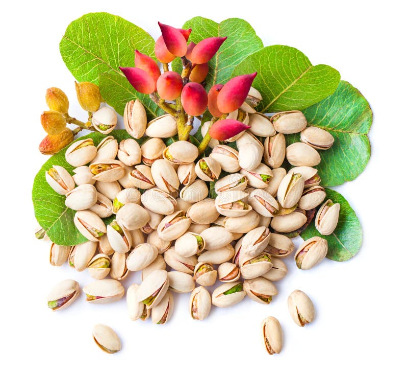 Raw Red Pistachio Nuts with Green Leaves on White Background Stock ...