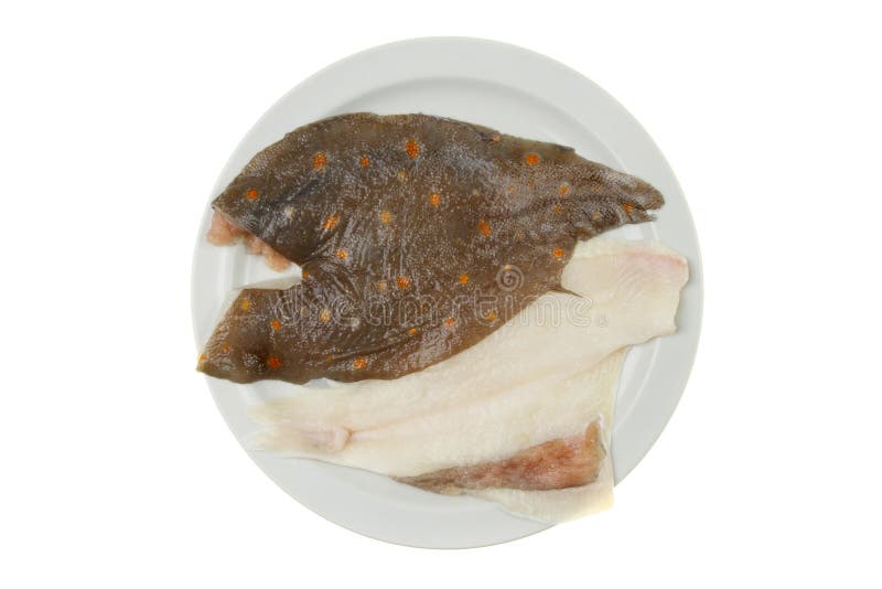 Raw plaice fillets stock photo. Image of isolated, fillet - 21774878