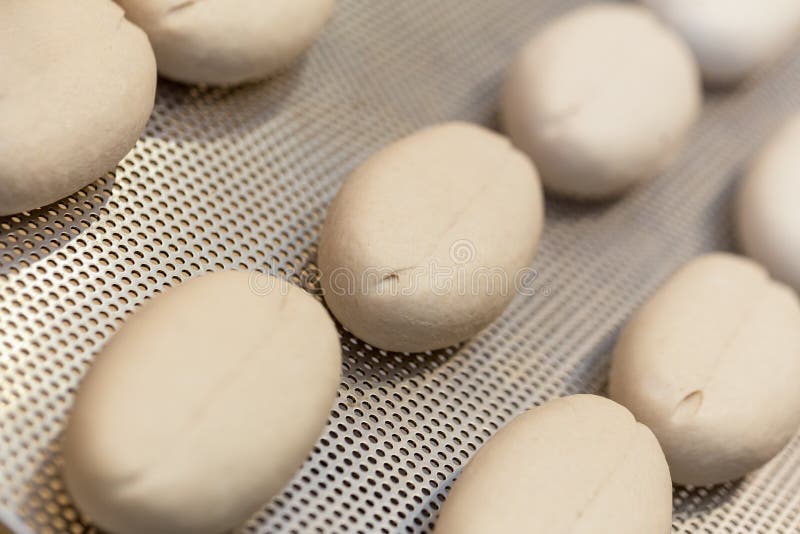 Raw plain buns in a bakery stock photo. Image of fresh - 80332976