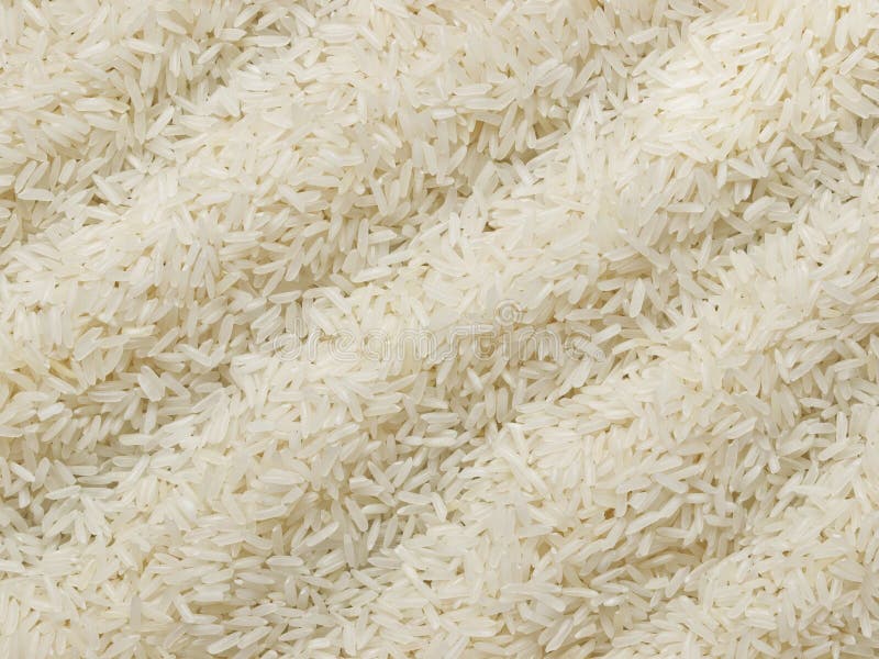 Raw polished white rice stock image. Image of white, starch - 18293927