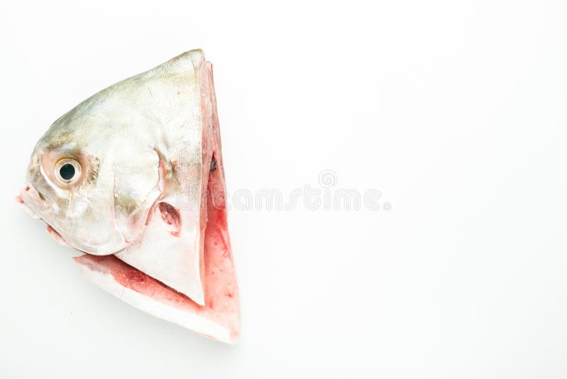 Raw fish head stock image. Image of meat, seafood, ocean - 199262485