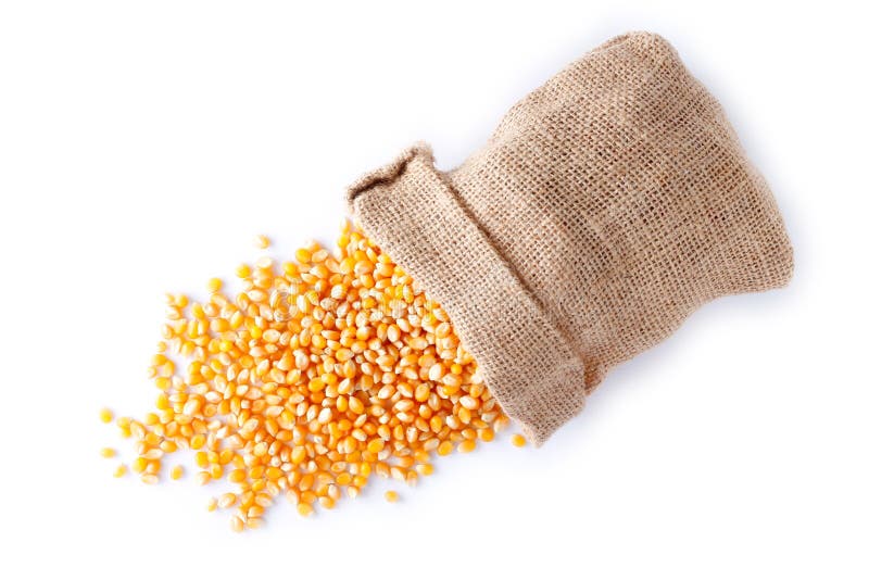 Raw Popcorn Kernels, Seeds or Grains in Rustic Fabric Bag Isolated on ...